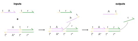 Cezanne Camacho Machine And Deep Learning Educator