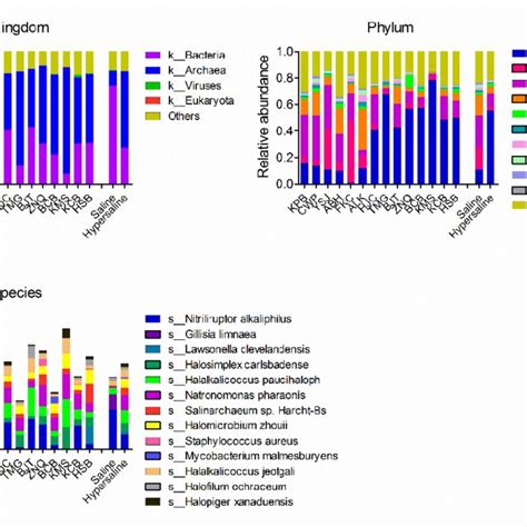 Pdf Metagenomic Insights Into Microbial Community Structure Function