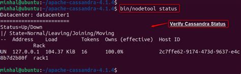 How To Install Apache Cassandra On Ubuntu 24 04 Linux Genie