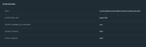 Docker Net 6 Application Environmentgetenvironmentvariable Not