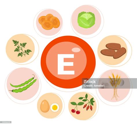 비타민 E 또는 토코페롤 음식 소스 비타민 E 건강한 영양의 기초의 최대 함량을 가진 천연 유기농 제품 0명에 대한 스톡 벡터