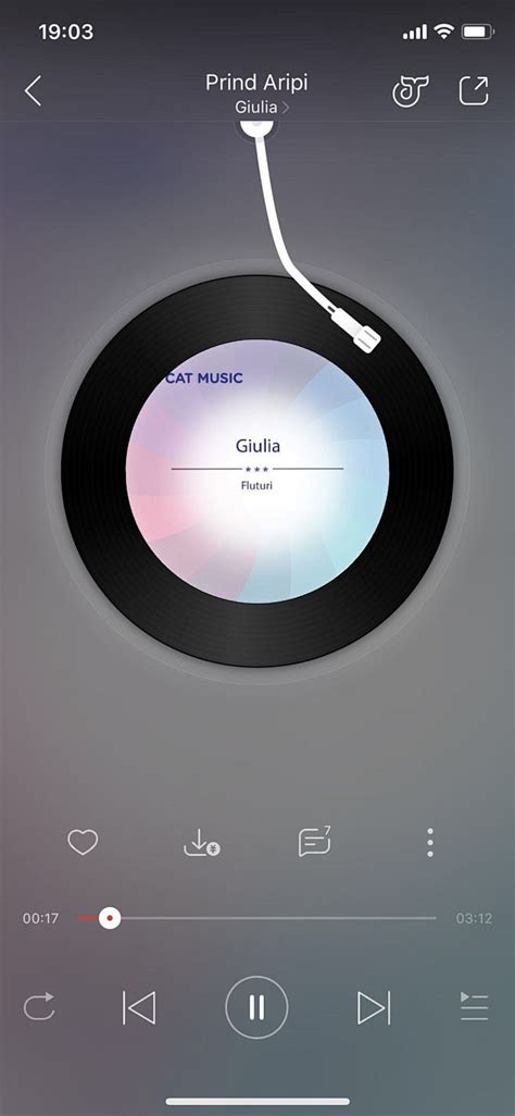 Ipone X 音乐界面截图