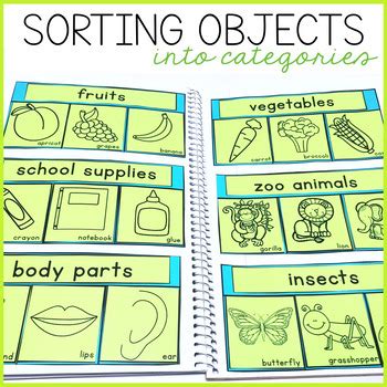 Sorting Objects Into Categories Interactive Notebooks By Education To The Core