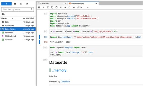 in passing noting python apps and datasette running purely in the