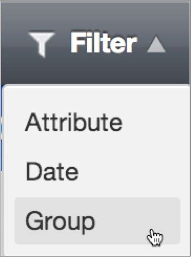 Configurer Un Groupe De Filtres Gooddata Classic