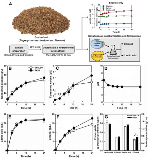 Cellulosic Lactic Acid Production By Sr8ldh And Bk01 From Simultaneous