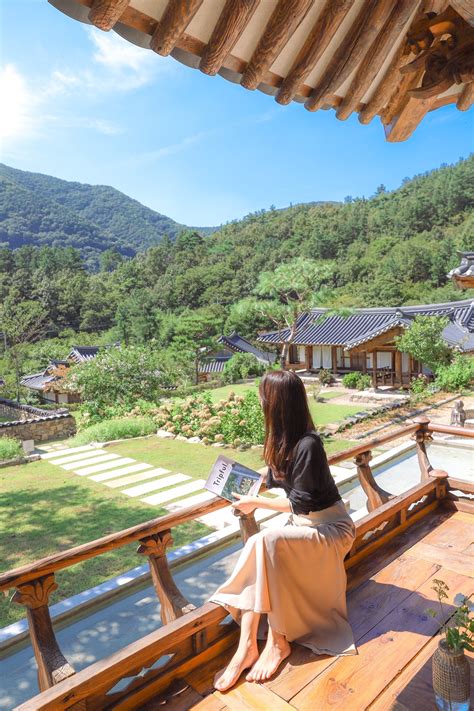 여행에미치다 한국의 아름다움이란 이런 것 ️🫶 자연 속 단아한 아름다움이 깃든 소양고택🌿 돌담위