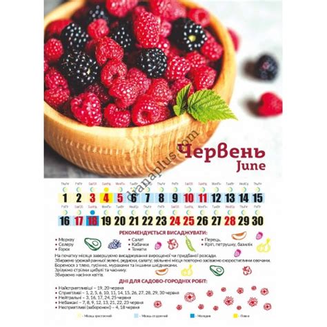 Календар Свитовид Посівний 2023 ціна опис фото купити в магазині Діана Плюс