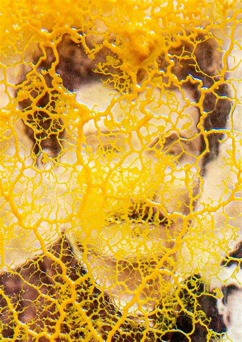 Genetic Memory What Do We Carry Down From Our Ancestors Booooooom