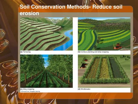 Why Do We Need To Conserve Soil Erosion At Lara Caley Blog