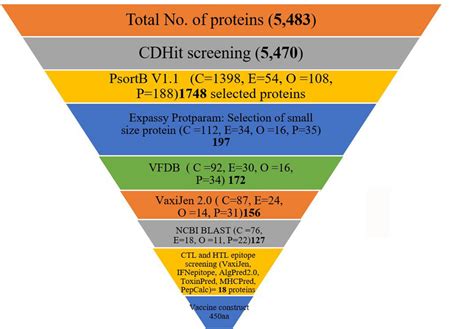 Subtractive Proteomic Schema For Vaccine Construction Against Download Scientific Diagram