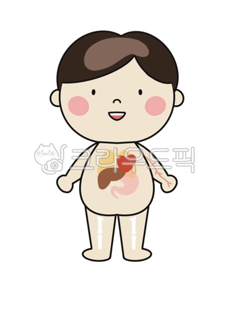 남자아이 신체그림 인체그림 장기위치 심장 사진이미지일러스트캘리그라피 이상한자일리톨작가