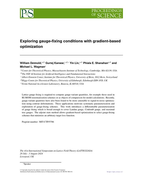 exploring gauge fixing conditions pdf