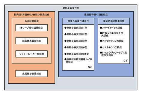 脊髄小脳変性症約30が遺伝を原因とする小脳だけでなく脳幹や脊髄などの中枢神経細胞が変性 介護の本音口コミサイト老人ホームマップ