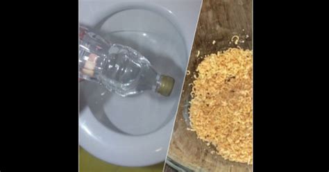 Трикът на камериерките Ето как обикновена пластмасова бутилка чисти до блясък тоалетната За