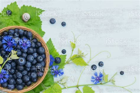 꽃과 잎 패턴 상단보기와 바구니에 신선한 블루 베리 흰색 테이블 모형에 건강한 음식 텍스트 복사 공간이있는 맛있고 달콤하고 육즙이 많은 잘 익은 베리 배경 0명에 대한 스톡