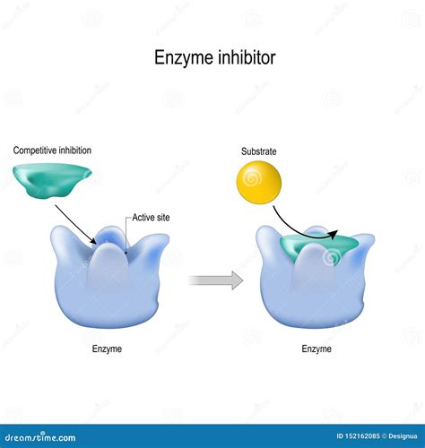 Competitive Inhibition Enzyme Inhibitor Is A Molecule That Binds