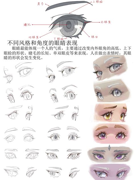 眼睛详细教程解析真的太有用了新手必备 哔哩哔哩