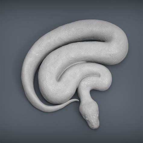 3d Printable Ball Pythons By Alexander3dart