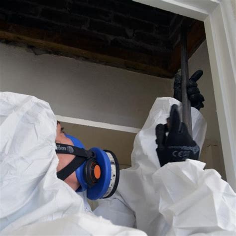 How To Remove Asbestos From Your Home In Sydney DIY How To