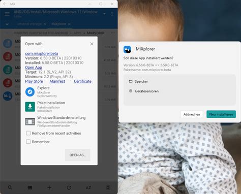 App Version Information Truncated · Issue 41 · Alesimulawsapacman