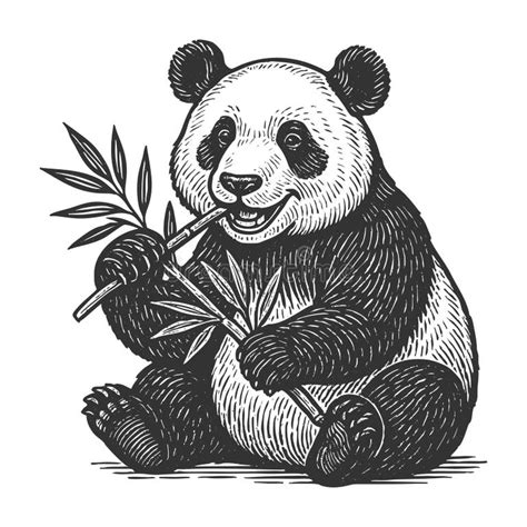 Cute Panda Eating Bamboo Engraving Sketch Raster Stock Illustration