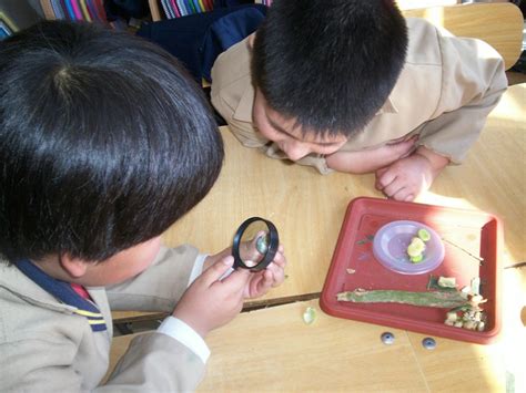 Definición De Indagación Qué Es Y Concepto