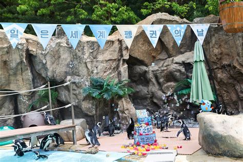 에버랜드 4월 25일은 세계 펭귄의 날