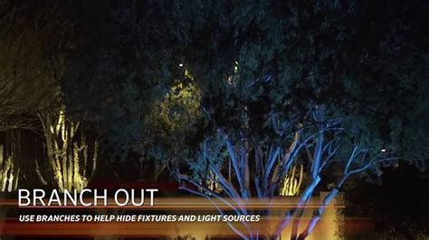 Lighting Tips For Your Trees From Fxluminaire Hide The Light Source And Make Your Trees Stand