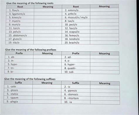 Solved The Text Provided Is A Table With Various Roots Prefixes And