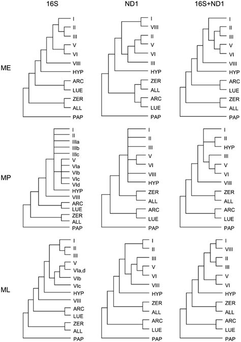Summarized Tree Topologies Inferred From The Me Mp And Ml Analyses For