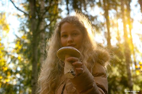 Грибные места в Беларуси