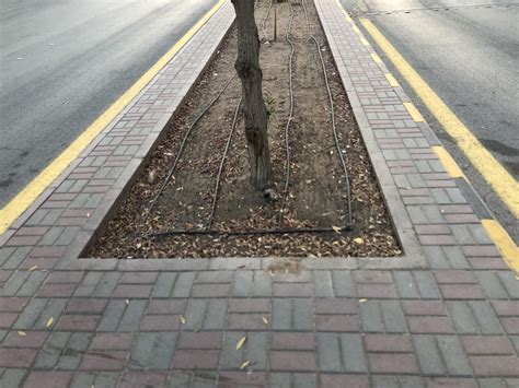 Are Traversable Sidewalks Part Of The 2030 Vision R Saudiarabia