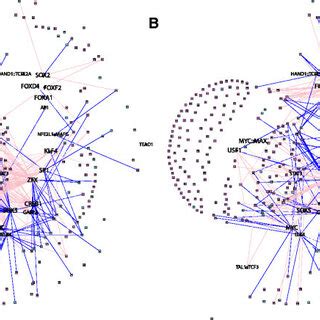 Illustrations Of Core Subnetworks Of Sex Specific Regulation In COPD Download Scientific