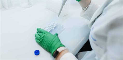 Antibody And Protein Sequencing Applications Rapid Novor