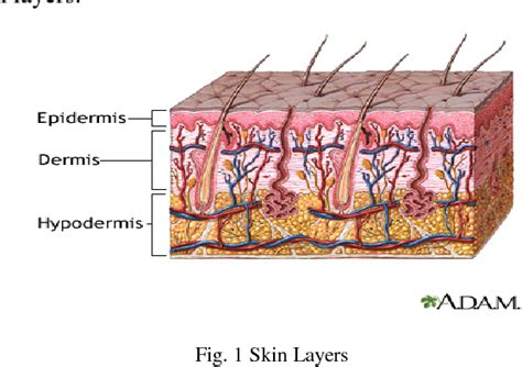Figure 1 From Fuzzy Contour Based Automatic Segmentation Of Skin Lesions In Dermoscopic Images