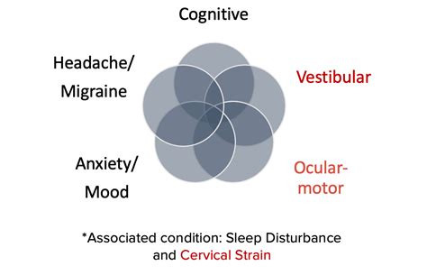concussion guidelines step 2 evidence for subtype classification june