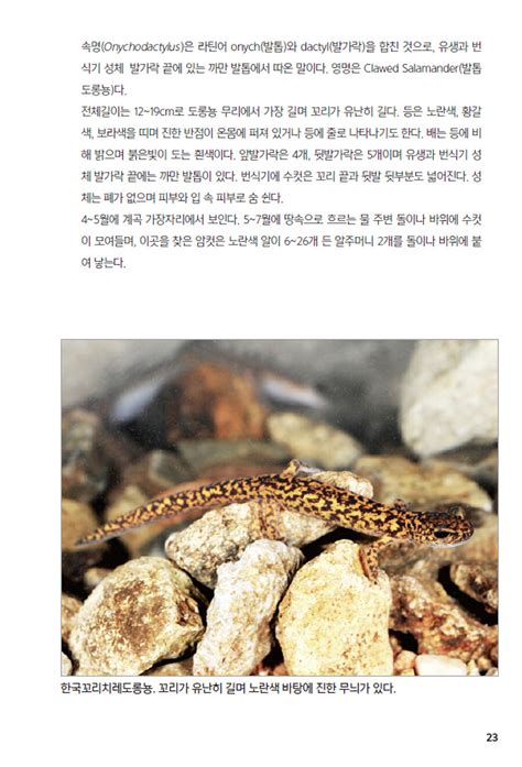알라딘 미리보기 화살표 양서 파충류 도감