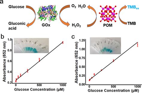 A Schematic Representation Of Nanozyme‐based Glucose Detection The