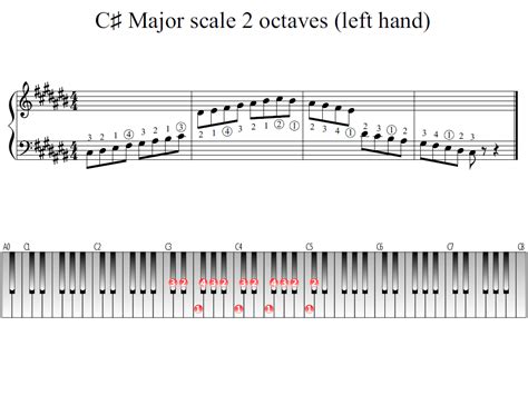 C Sharp Major Scale 2 Octaves Left Hand Piano Fingering Figures