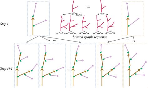 automatic calculation of multiple tree growth pattern through
