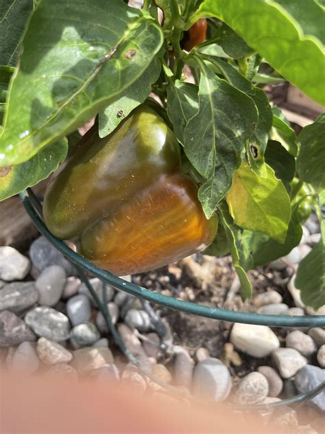 What Causes Vms In Nested Virtualization To Perform So Poorly Rvmware