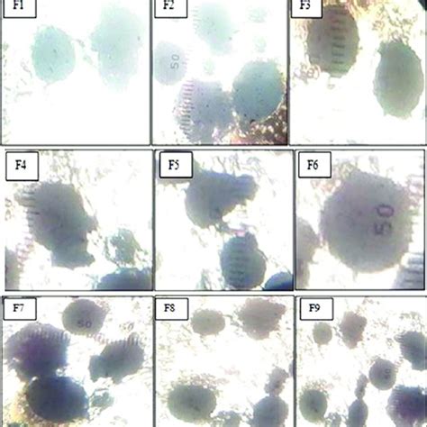 Microscopic Image Of Spherical Agglomerate Formulations Download Scientific Diagram