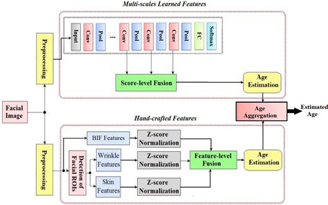 Figure 2 From Multi Stage Age Estimation Using Two Level Fusions Of Handcrafted And Learned