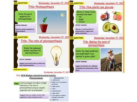 AQA New Specification B8 Photosynthesis Complete Bundle Teaching Resources