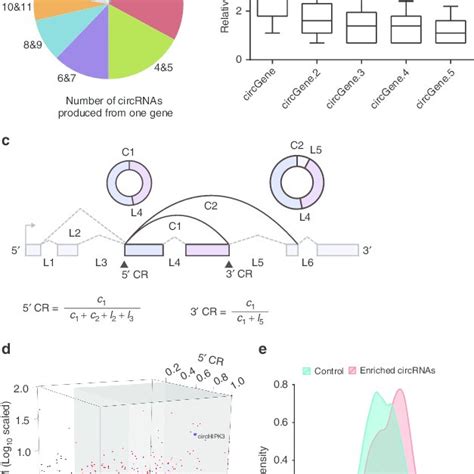 Profiling Of Circular Rnas In Human Normal And Cancerous Tissues A