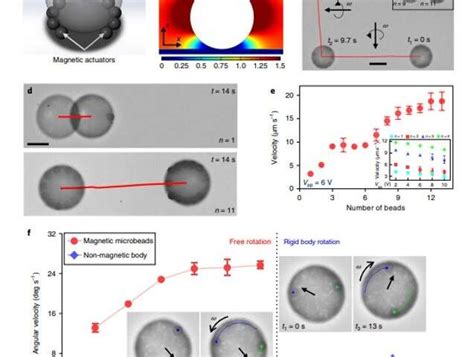 Researchers Create Dynamic Self Assembly Process For Building Mobile Micromachines