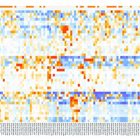 Heatmap Demonstrating Log Relative Expression Level Of Top