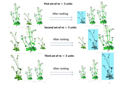Ppt Partial Ranked Set Sampling Design Powerpoint Presentation Free Download Id 2084607
