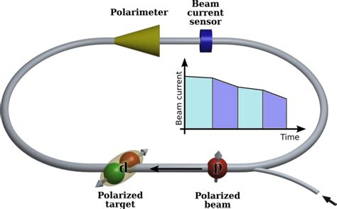 Main Components Of The Experimental Setup Polarized Beam From The Download Scientific Diagram